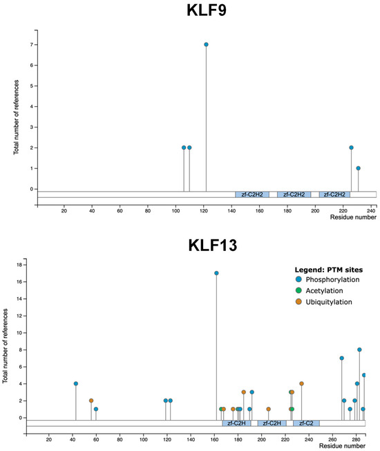 Krüppel-like Factor-9 and Krüppel-like Factor-13: Highly Related, Multi ...