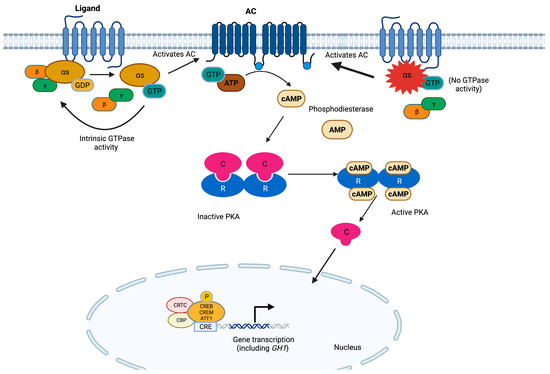 Hotspots of Somatic Genetic Variation in Pituitary Neuroendocrine Tumors