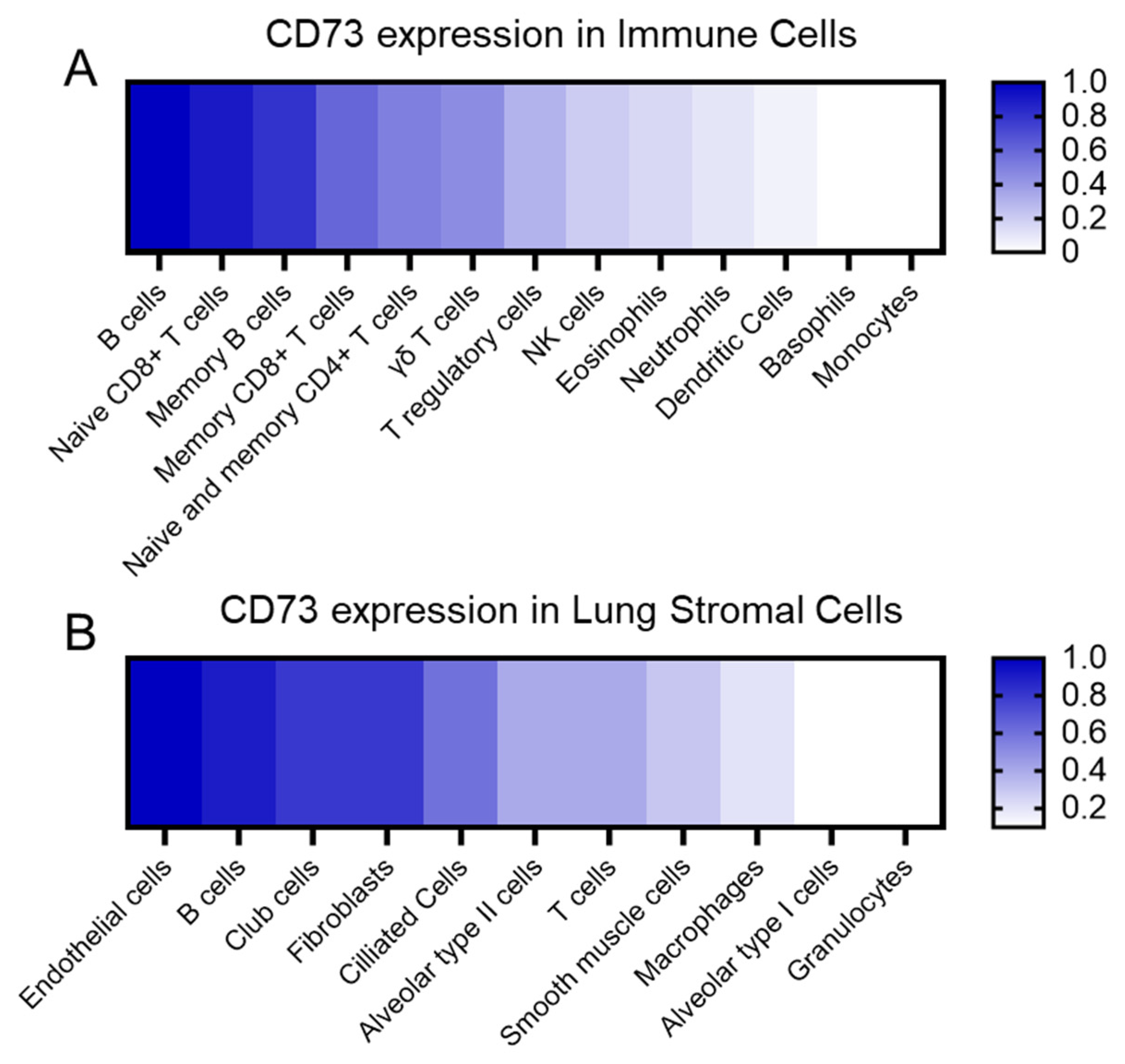 Unraveling the Intricacies of CD73/Adenosine Signaling: The Pulmonary Immune and Stromal ...