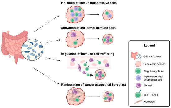 The Prospect of Harnessing the Microbiome to Improve Immunotherapeutic ...