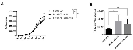 A New HEK293 Cell with CR2 Region of E1A Gene Deletion Prevents the ...