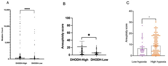 Inhibition of DHODH Enhances Replication-Associated Genomic Instability ...