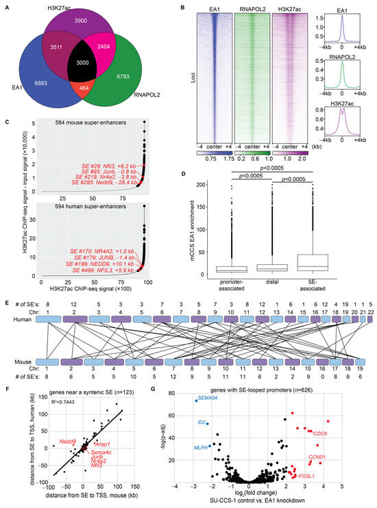 EWSR1::ATF1 Orchestrates the Clear Cell Sarcoma Transcriptome in Human ...