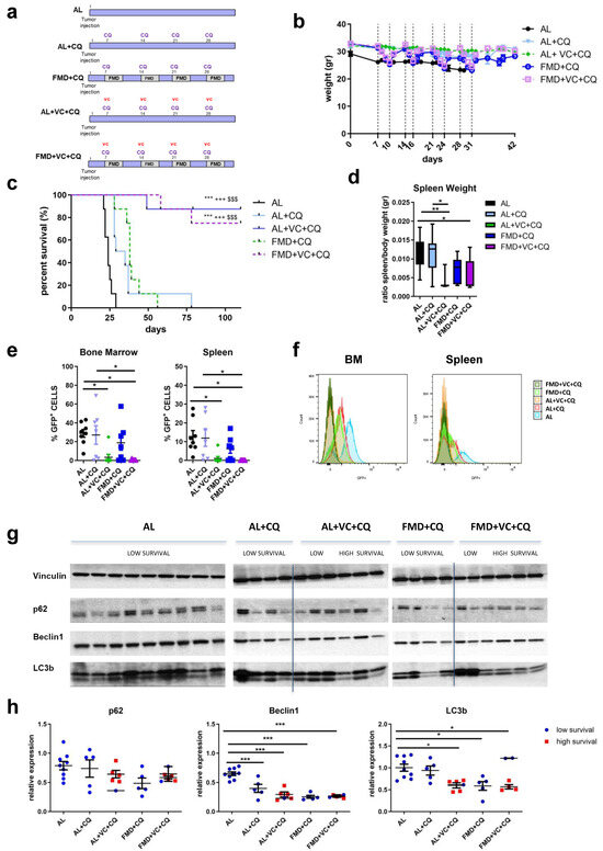 Fasting-Mimicking Diet Inhibits Autophagy and Synergizes with ...