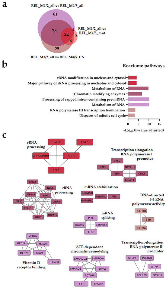Cancers | Free Full-Text | High Mitochondrial Protein Expression as a ...