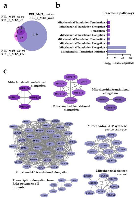 Cancers | Free Full-Text | High Mitochondrial Protein Expression as a ...