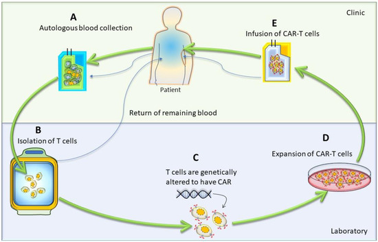Evolving CAR-T-Cell Therapy for Cancer Treatment: From Scientific ...