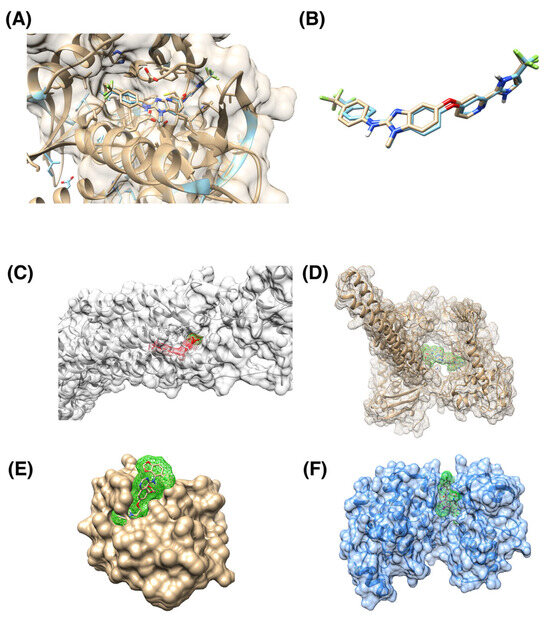 Integration of Computational Docking into Anti-Cancer Drug Response ...