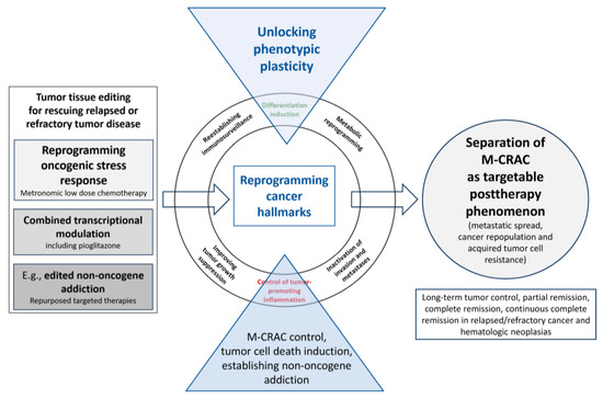 Cancers | Free Full-Text | Addressing Genetic Tumor Heterogeneity, Post ...