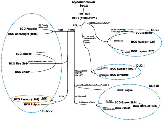 Carcinoma In Situ (CIS): Is There a Difference in Efficacy between Various BCG Strains? A ...