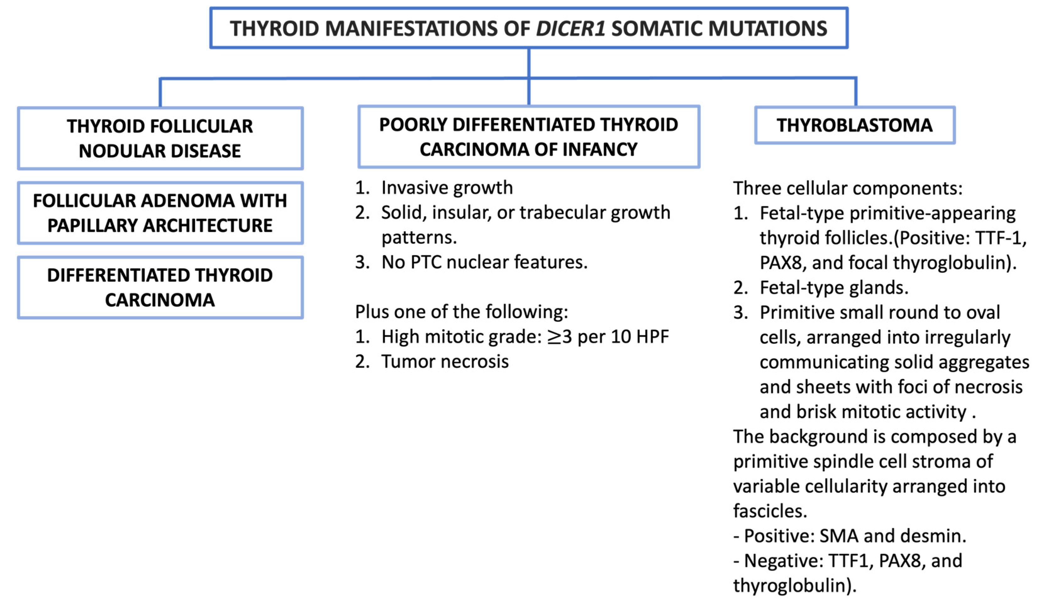 Cancers | Free Full-Text | Expanding Our Knowledge of DICER1 Gene Alterations and Their Role in ...
