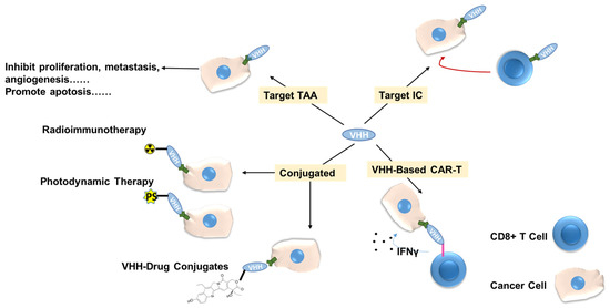 Promising Diagnostic and Therapeutic Approaches Based on VHHs for ...