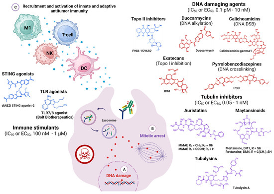 Antibody–Drug Conjugates: The Dynamic Evolution from Conventional to ...