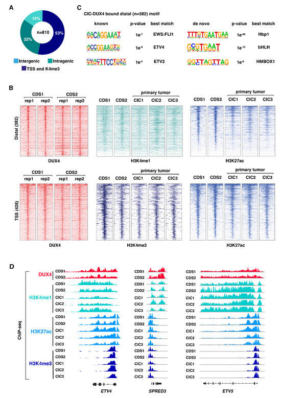 Cancers | Free Full-Text | CIC-DUX4 Chromatin Profiling Reveals New ...