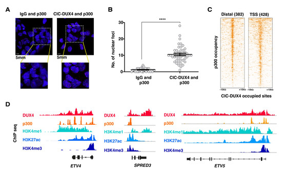 Cancers | Free Full-Text | CIC-DUX4 Chromatin Profiling Reveals New ...