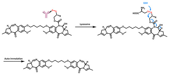 Targeted Therapeutic Strategies for the Treatment of Cancer