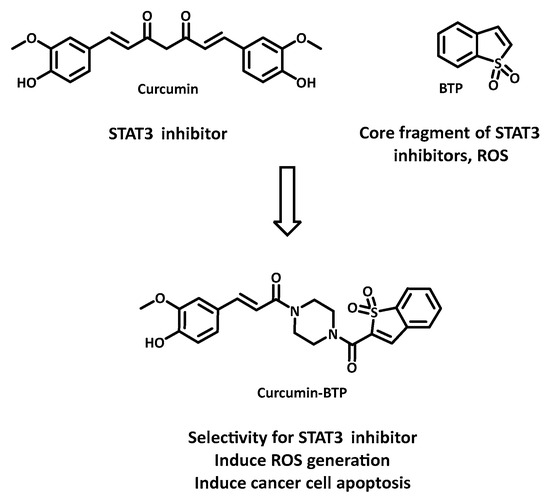 Cancers | Free Full-Text | Targeted Therapeutic Strategies for the ...