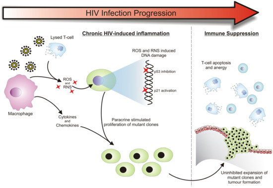 Cancer and HIV: The Molecular Mechanisms of the Deadly Duo
