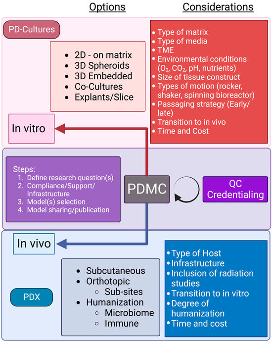 Cancers | Free Full-Text | Patient-Derived Models of Cancer in the NCI ...