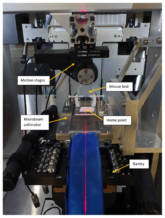 In Vivo Microbeam Radiation Therapy at a Conventional Small Animal ...