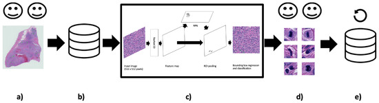 Keeping Pathologists in the Loop and an Adaptive F1-Score Threshold Method for Mitosis Detection ...