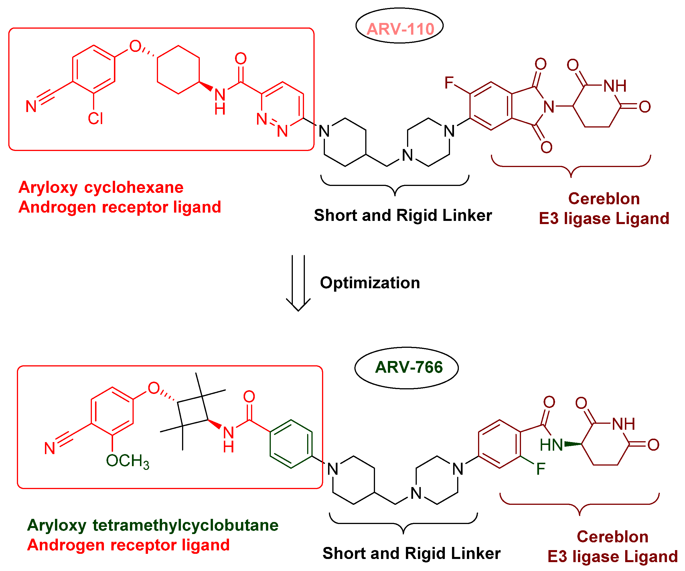 Insight into Recent Advances in Degrading Androgen Receptor for Castration-Resistant Prostate Cancer