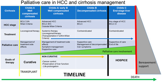 Management of Hepatocellular Carcinoma in 2024: The Multidisciplinary ...