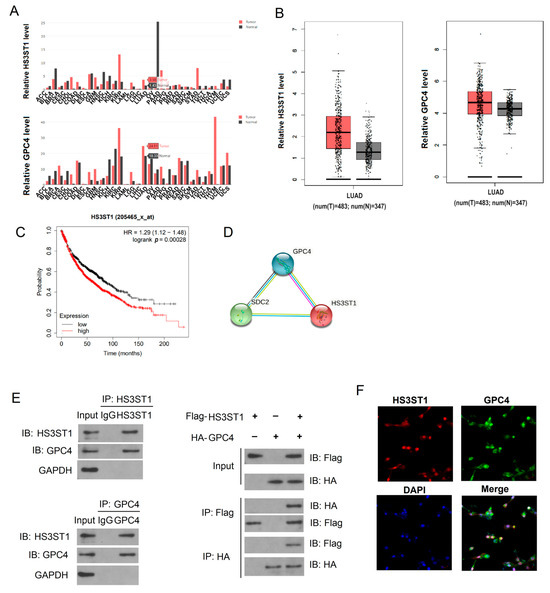 Hypoxia-Derived Exosomes Promote Lung Adenocarcinoma by Regulating ...