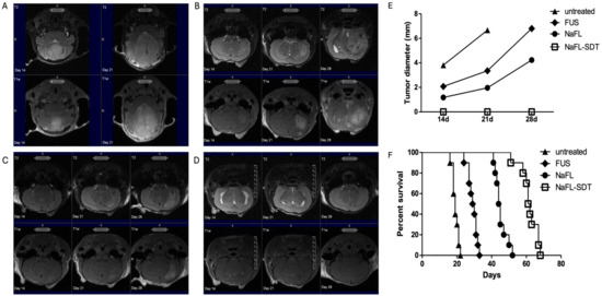 The Immunomodulatory Effects of Fluorescein-Mediated Sonodynamic ...