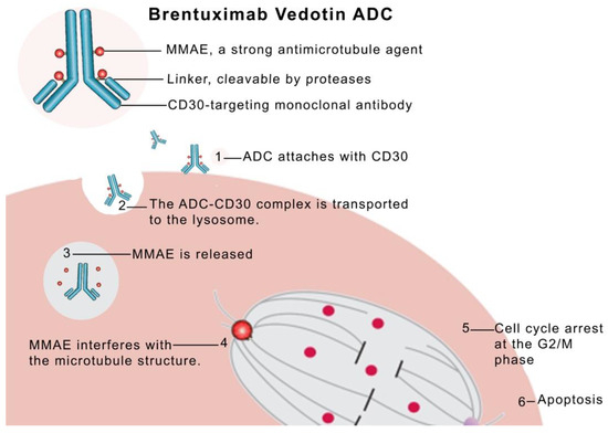 Innovations in Antibody-Drug Conjugate (ADC) in the Treatment of Lymphoma