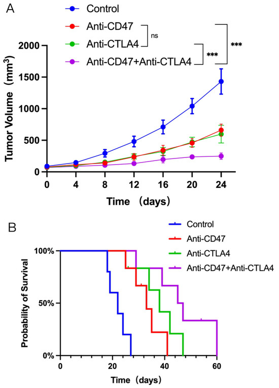 The Combination of Anti-CD47 Antibody with CTLA4 Blockade Enhances Anti-Tumor Immunity in Non ...