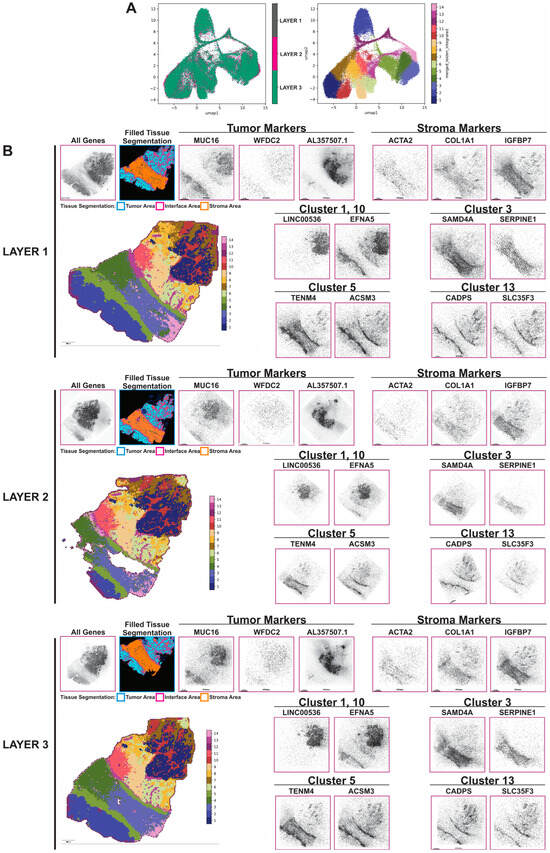 Molecular, Metabolic, and Subcellular Mapping of the Tumor Immune ...