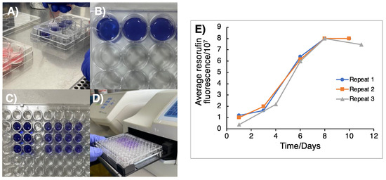 Development and Optimisation of Tumour Treating Fields (TTFields ...