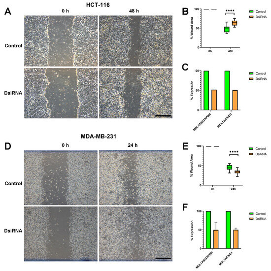 Cancers | Free Full-Text | Expression of Mitochondrial Long Non-Coding ...