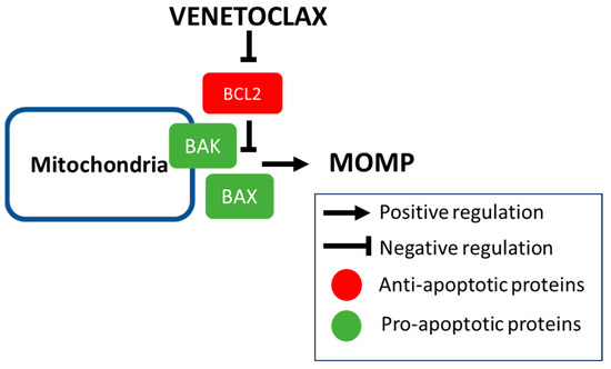 Venetoclax Resistance in Acute Myeloid Leukemia