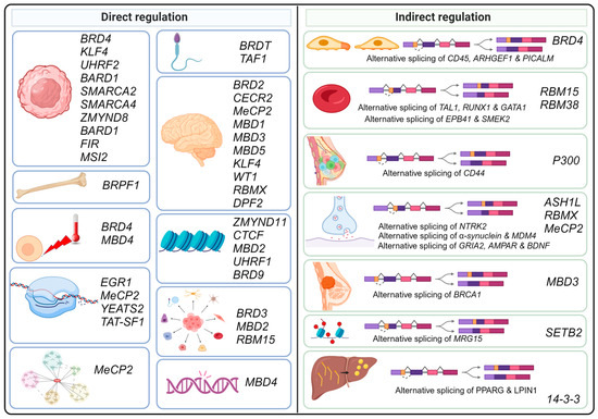 A–Z of Epigenetic Readers: Targeting Alternative Splicing and Histone ...