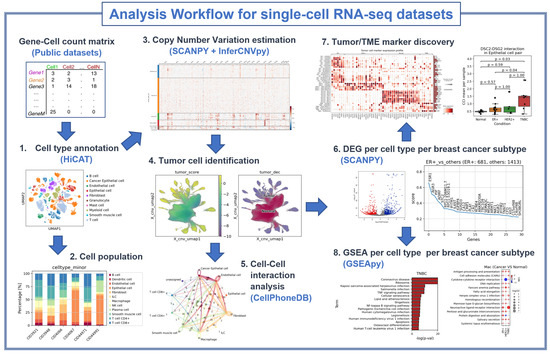 Cancers | Free Full-Text | A Retrospective View of the Triple-Negative Breast Cancer ...