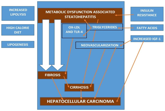 Metabolic Dysfunction-Associated Steatohepatitis and Progression to ...