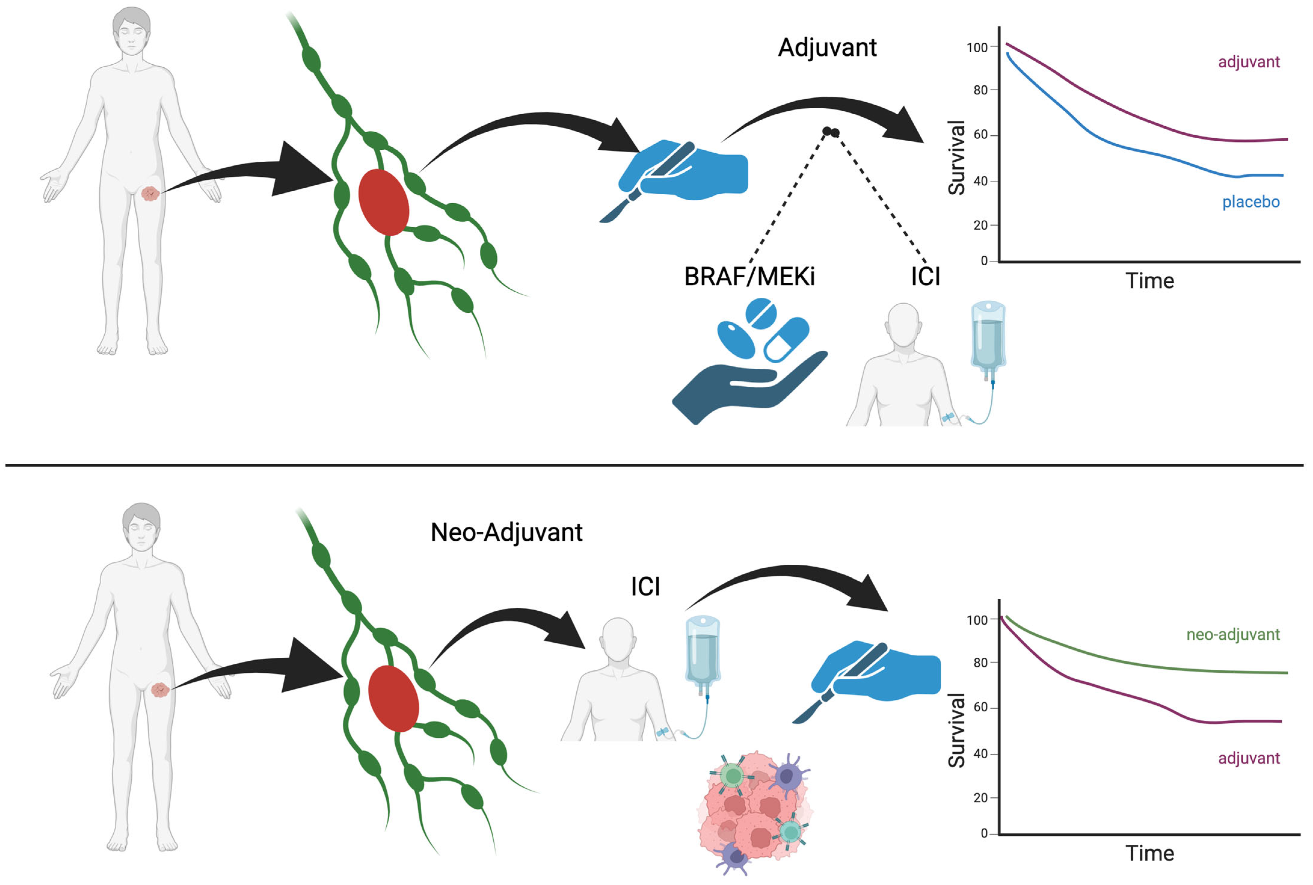 Cancers | Free Full-Text | Neo-Adjuvant Therapy for Metastatic Melanoma