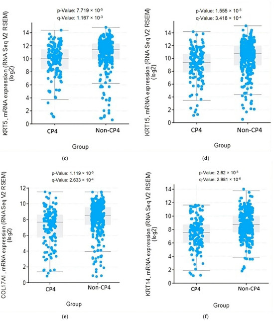 Prognostic Significance of the Cribriform Pattern in Prostate Cancer ...