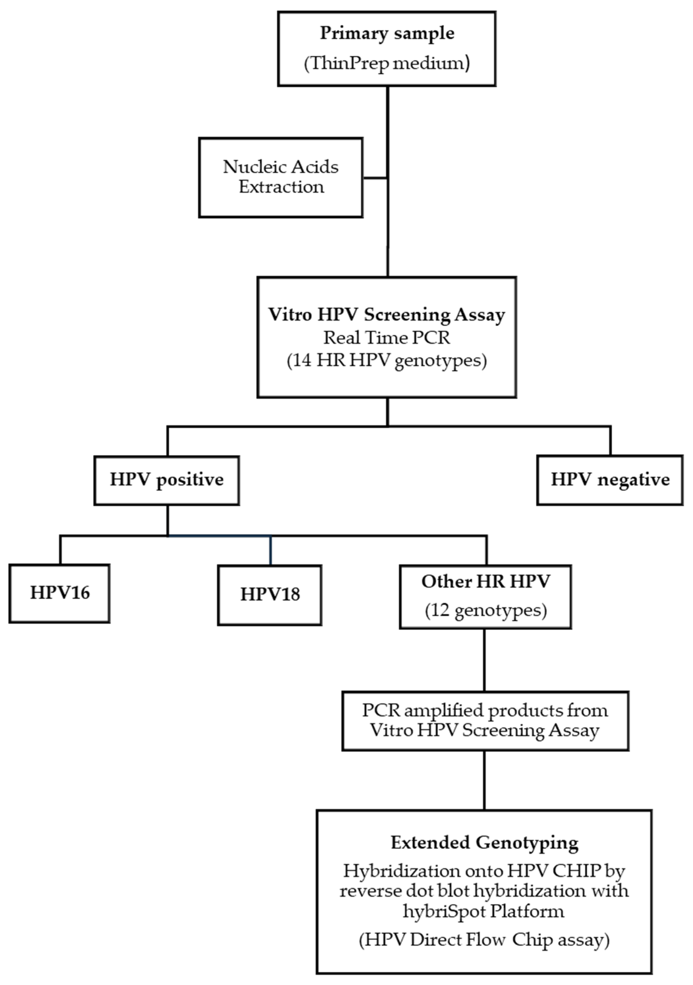Cancers | Free Full-Text | Clinical Validation of the Vitro HPV Screening Assay for Its Use in ...