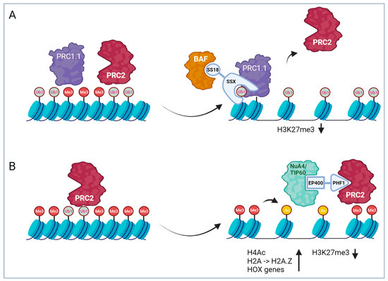 Functional Classification of Fusion Proteins in Sarcoma