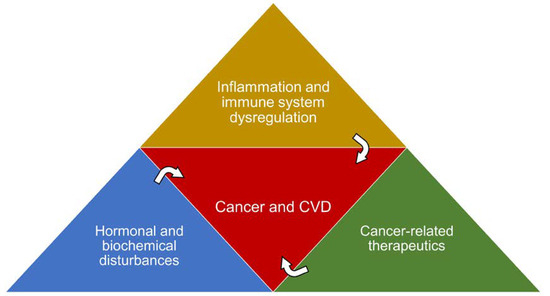 Cancers | Free Full-Text | Cancer and Cardiovascular Disease: The ...