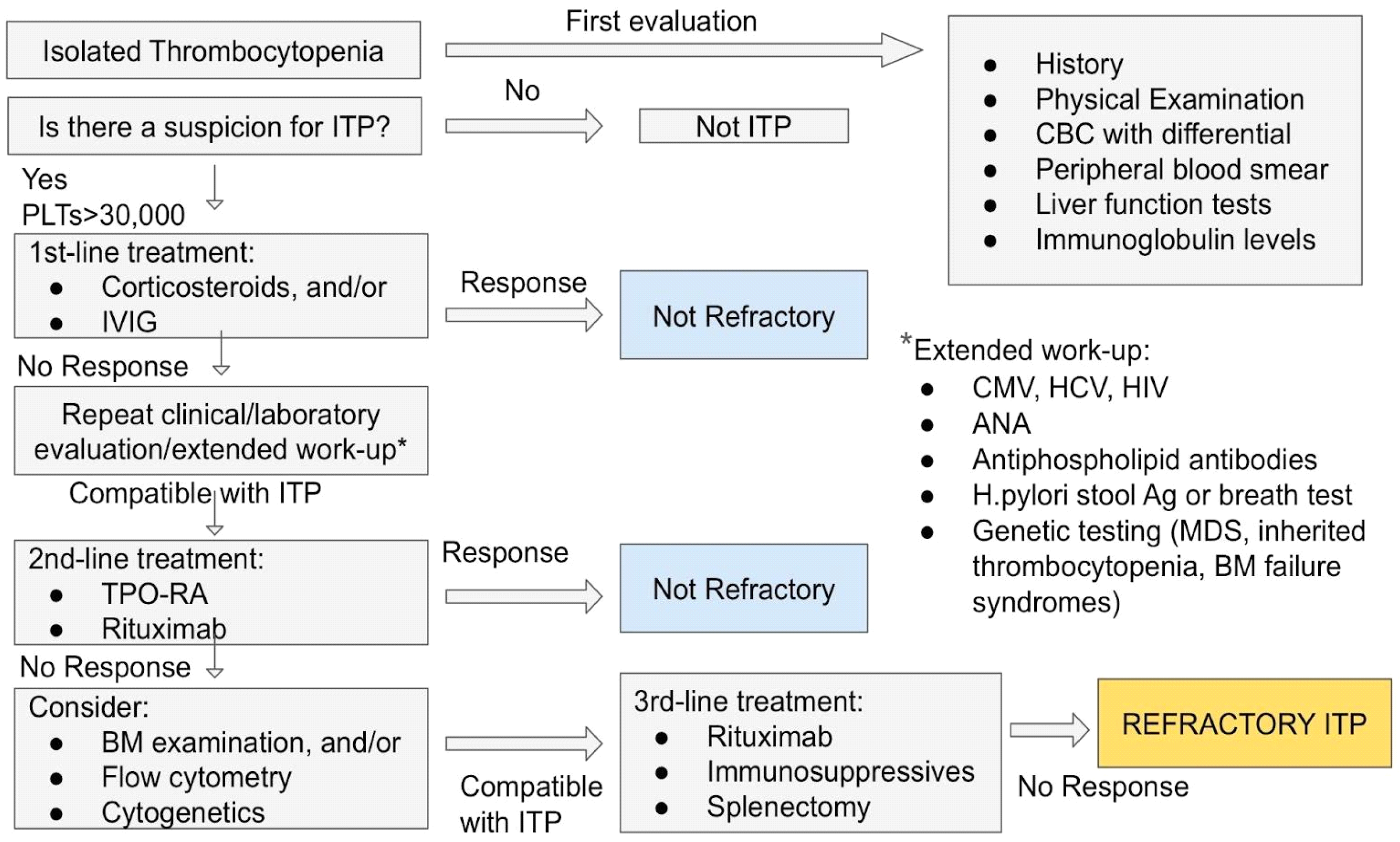 Cancers Free Full Text The Challenge For A Correct Diagnosis Of Refractory Thrombocytopenia