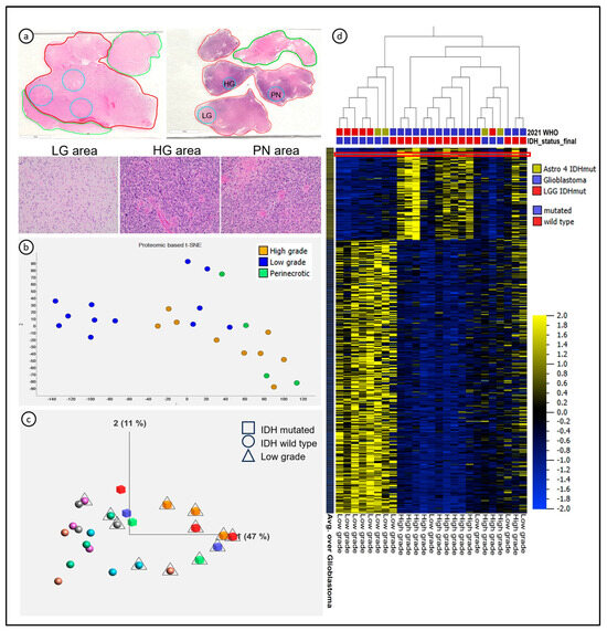 Proteomic Analysis of Spatial Heterogeneity Identifies HMGB2 as ...