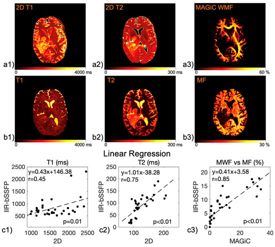 Cancers | Free Full-Text | Automatic Brain Tissue and Lesion ...