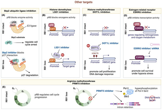 Therapeutic Strategies for RB1-Deficient Cancers: Intersecting Gene ...