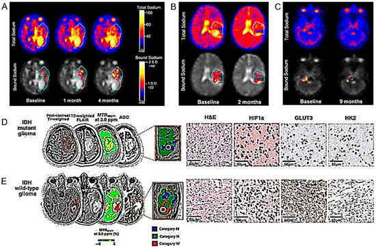 Cancers | Free Full-Text | Advancements in Image-Based Models for High ...