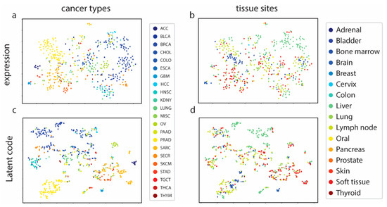 A Metastatic Cancer Expression Generator (MetGen): A Generative ...