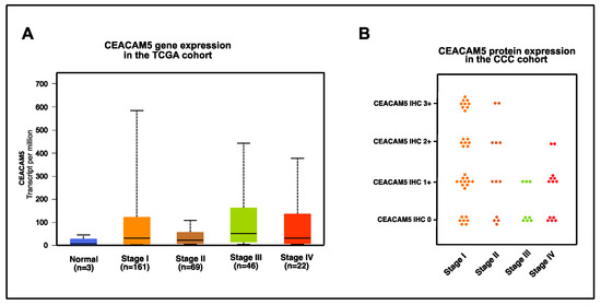 Expression of Potential Antibody–Drug Conjugate Targets in Cervical Cancer
